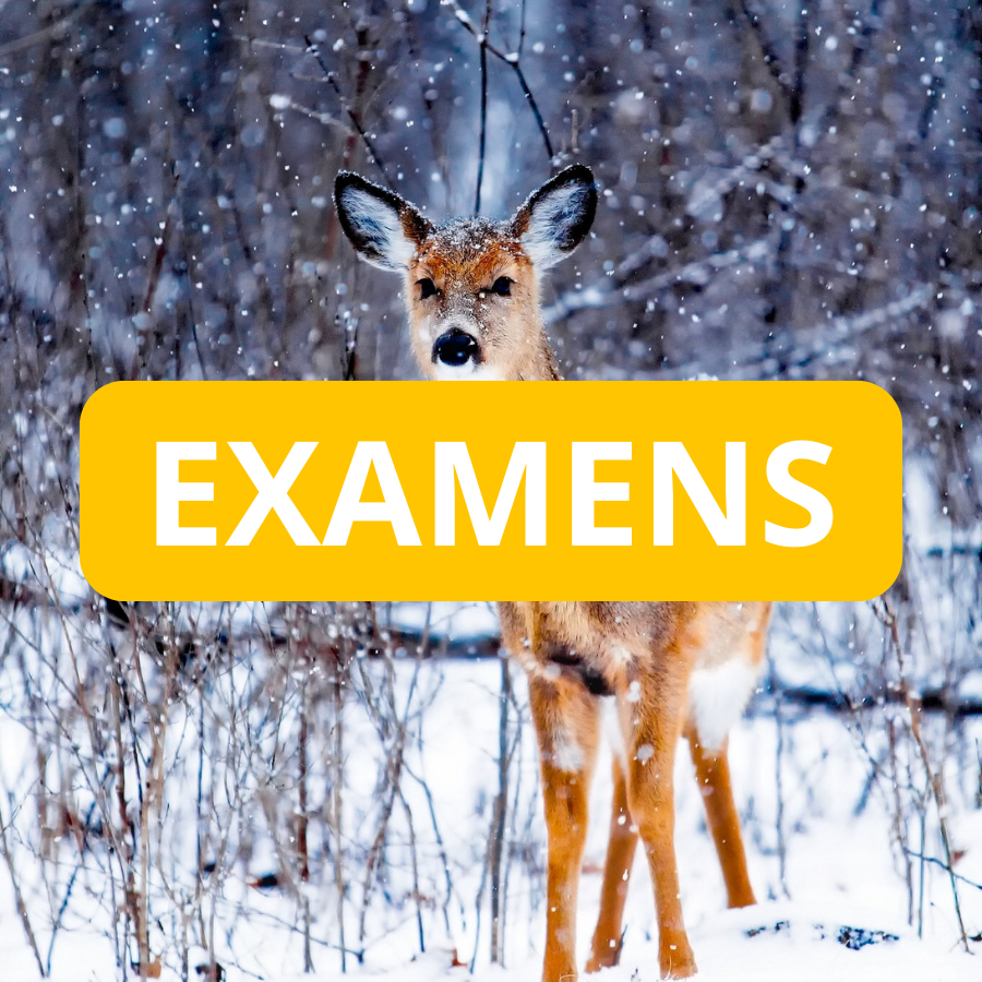 EXAMEN DE CERTIFICATION CFP®/CGPC - ISG 2025 - 3 Février 2025 | CGPC