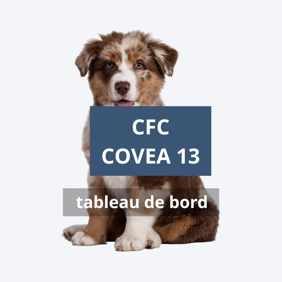INFORMATIONS CFC COVEA 13 | CGPC